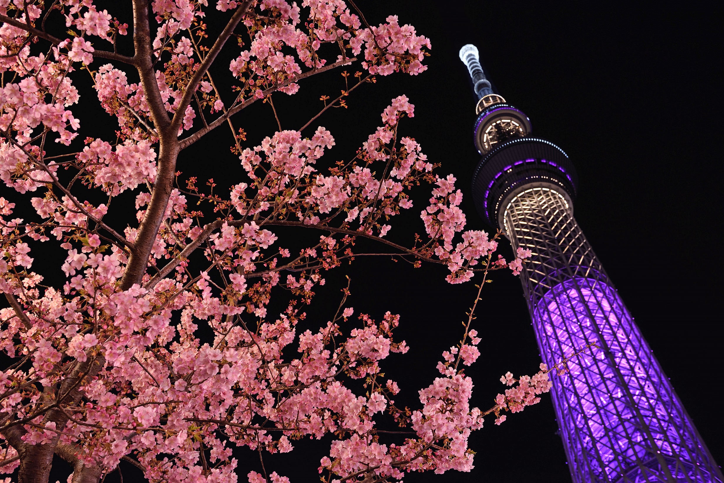 東京のツアー・旅行を探すなら格安旅行のJTAP【沖縄発】